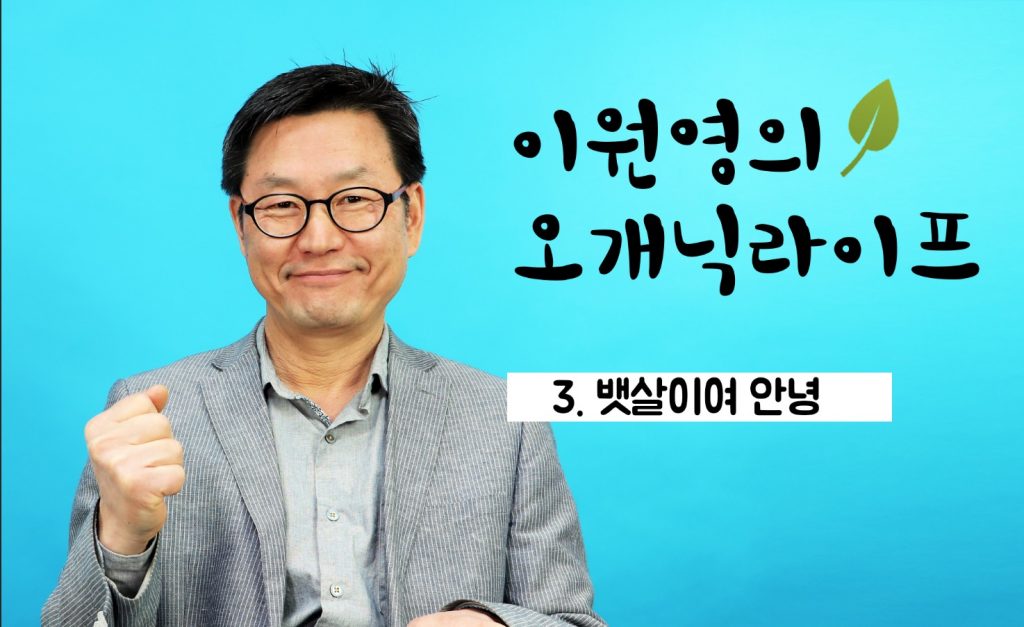 끝까지 안빠지는 뱃살, 답은 있다 - PLUSNEWS